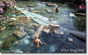Antique Pool at Pamukkale, Turkey