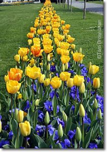 May in Turkey: Weather, Holidays & Events