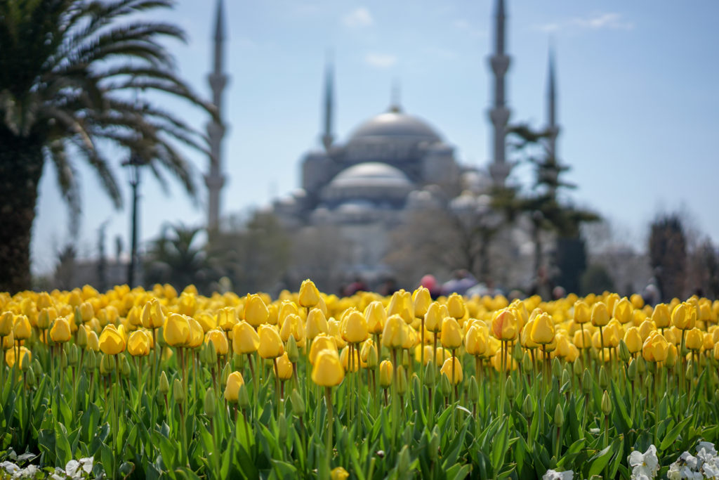 What to See & Do in Istanbul, Turkey