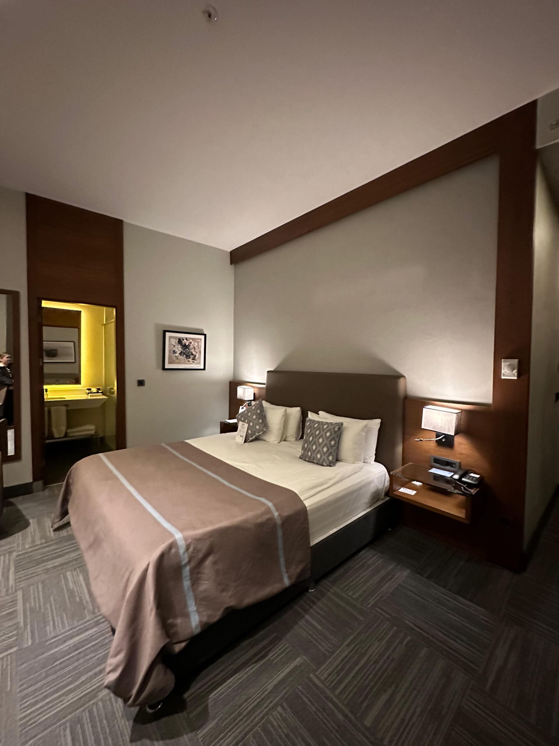 Electricity, Electric Plugs & Sockets/Points in Turkey